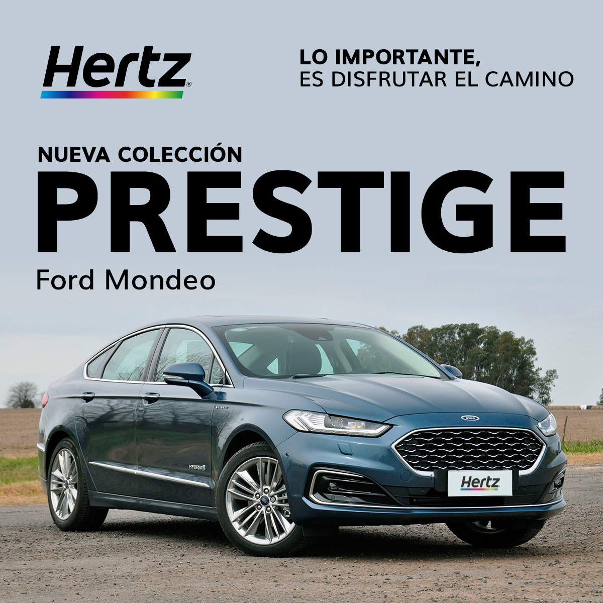 Hertz Argentina on Twitter: "Nuevo Ford Mondeo Realizá tu compra anticipada ingresando en http ...