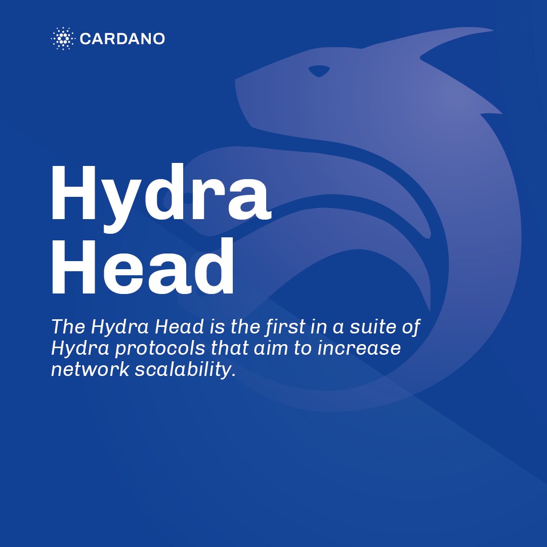 Hydra Vs Hydro