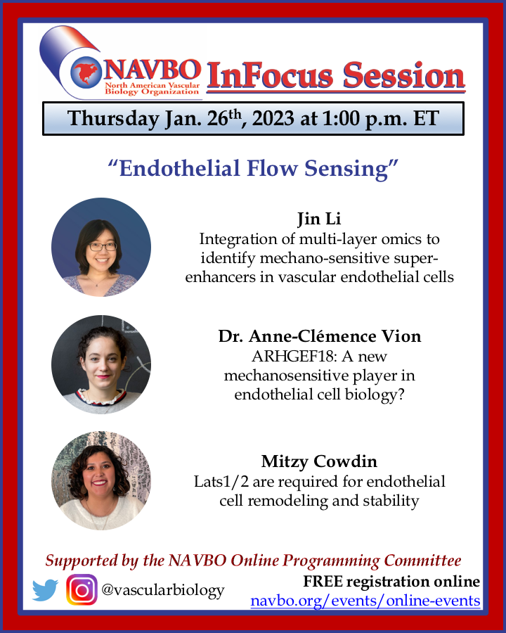 NAVBO on Twitter: "**Happening Today!** InFocus Session: Endothelial Flow Sensing. Please feel ...
