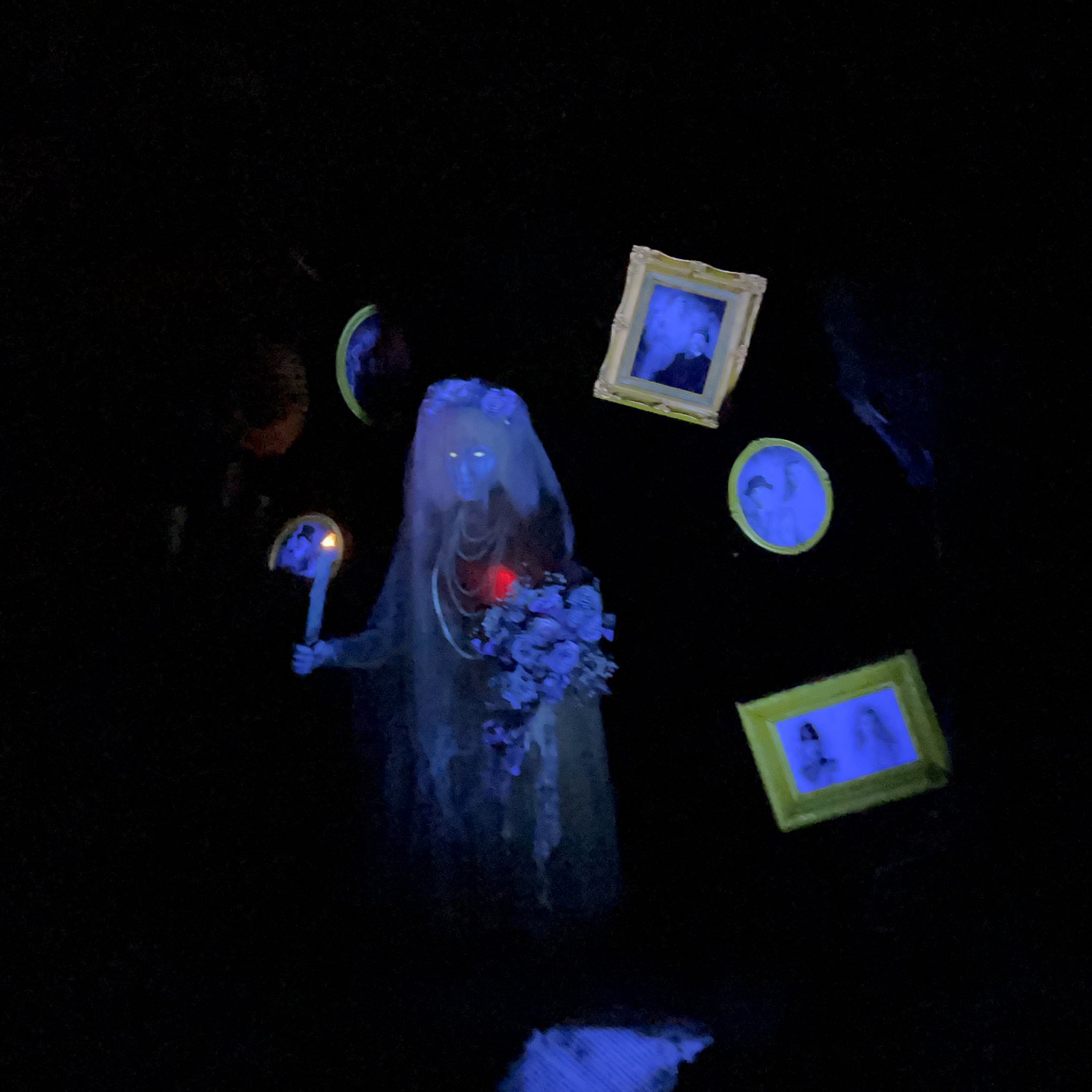 Haunted Mansion Bride