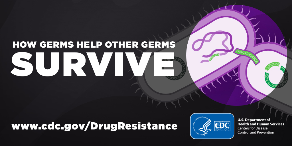 CDC on Twitter: "#AntimicrobialResistance germs can share their genes with other germs. Learn ...