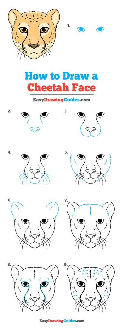 How To Draw A Cheetah Face Step By Step For Kids How To Draw A Cheetah