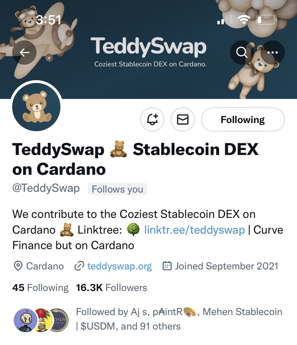 ₳lex on Twitter: "Yo got the @TeddySwap follow back ?!? 🚀🚀🚀"