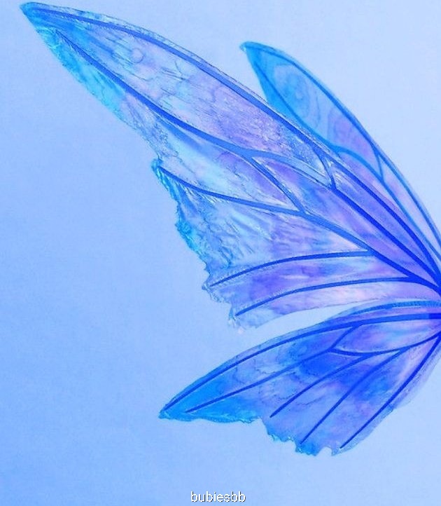 Fairy Wings Side View Drawings