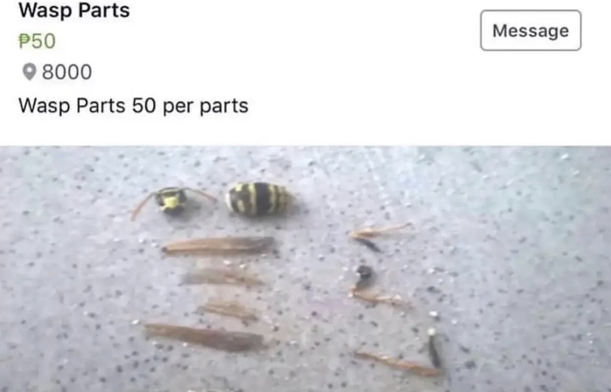 Kel (very real) on Twitter: "@realRubenSim Ruben buy some wasp parts https://t.co/IJR4rtKQTy ...