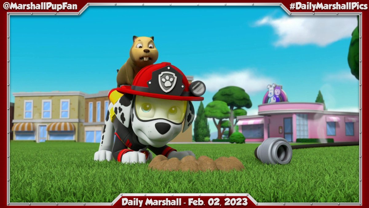 Marshall Pup Fanatic on Twitter: Marshall Pup Fanatic on Twitter: