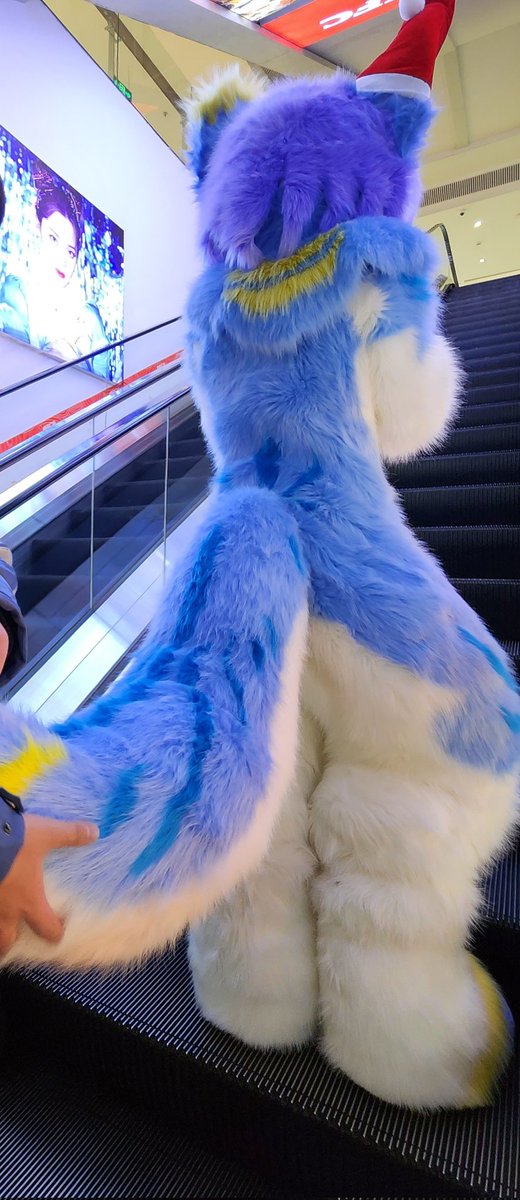 白鲸tidy On Twitter Furry Fursuitfriday Fursuit 这次毛五就发点之前的一些小花絮 P1是出毛在电梯上洗风扇背影 P2是出去玩没注意的