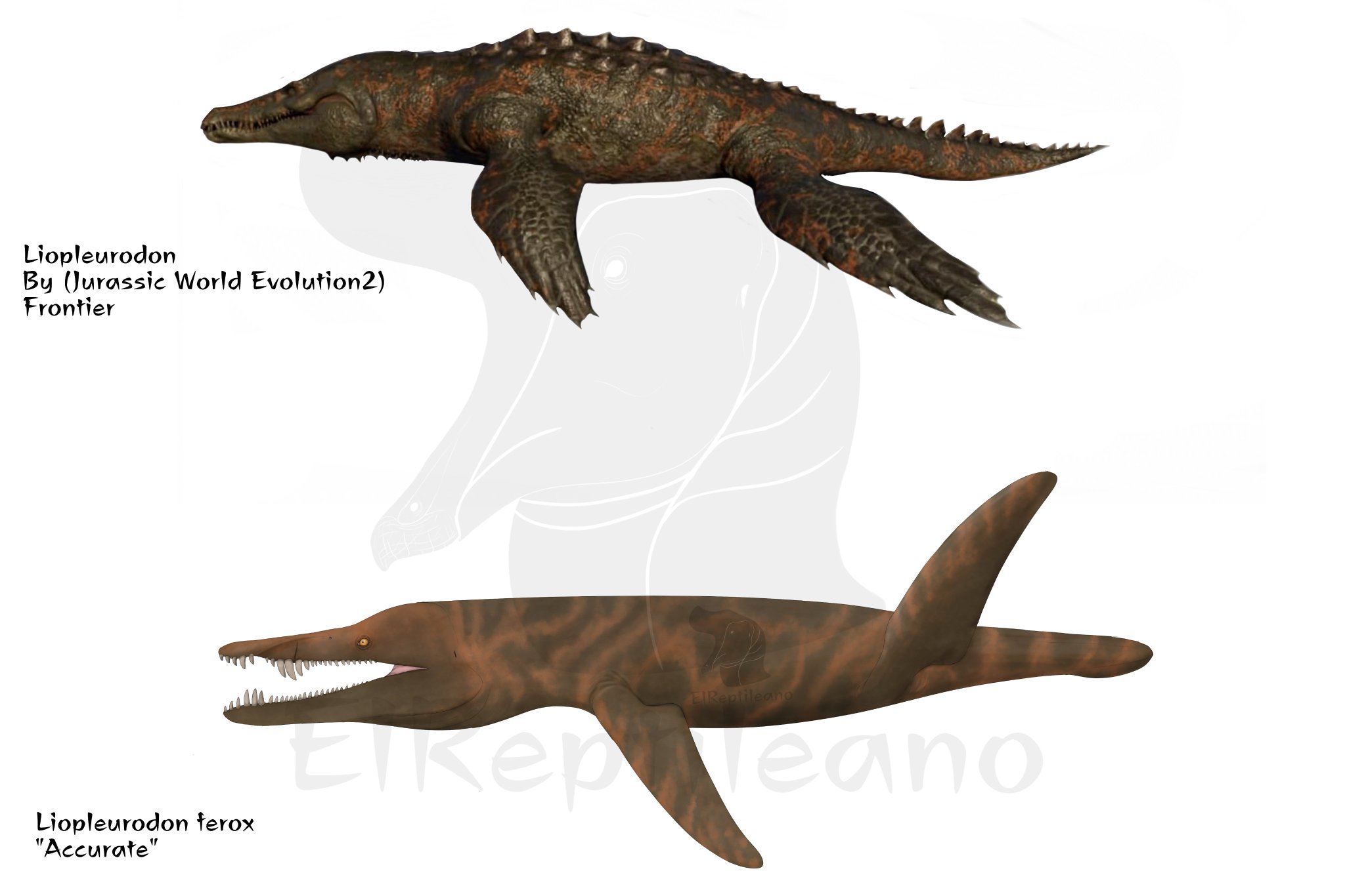 Liopleurodon Ferox
