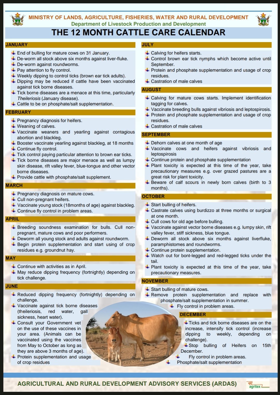 ZFU_Official on Twitter: "The cattle care calendar is a management tool ...
