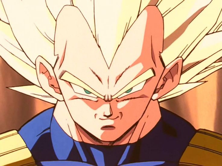 vegeta_dailyさんのイラストまとめ