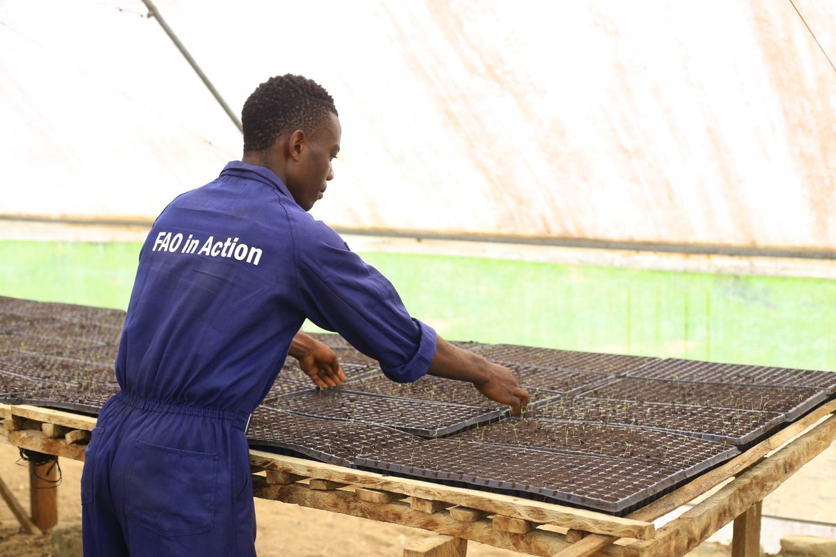 FAO in Tanzania on Twitter: FAO in Tanzania on Twitter: