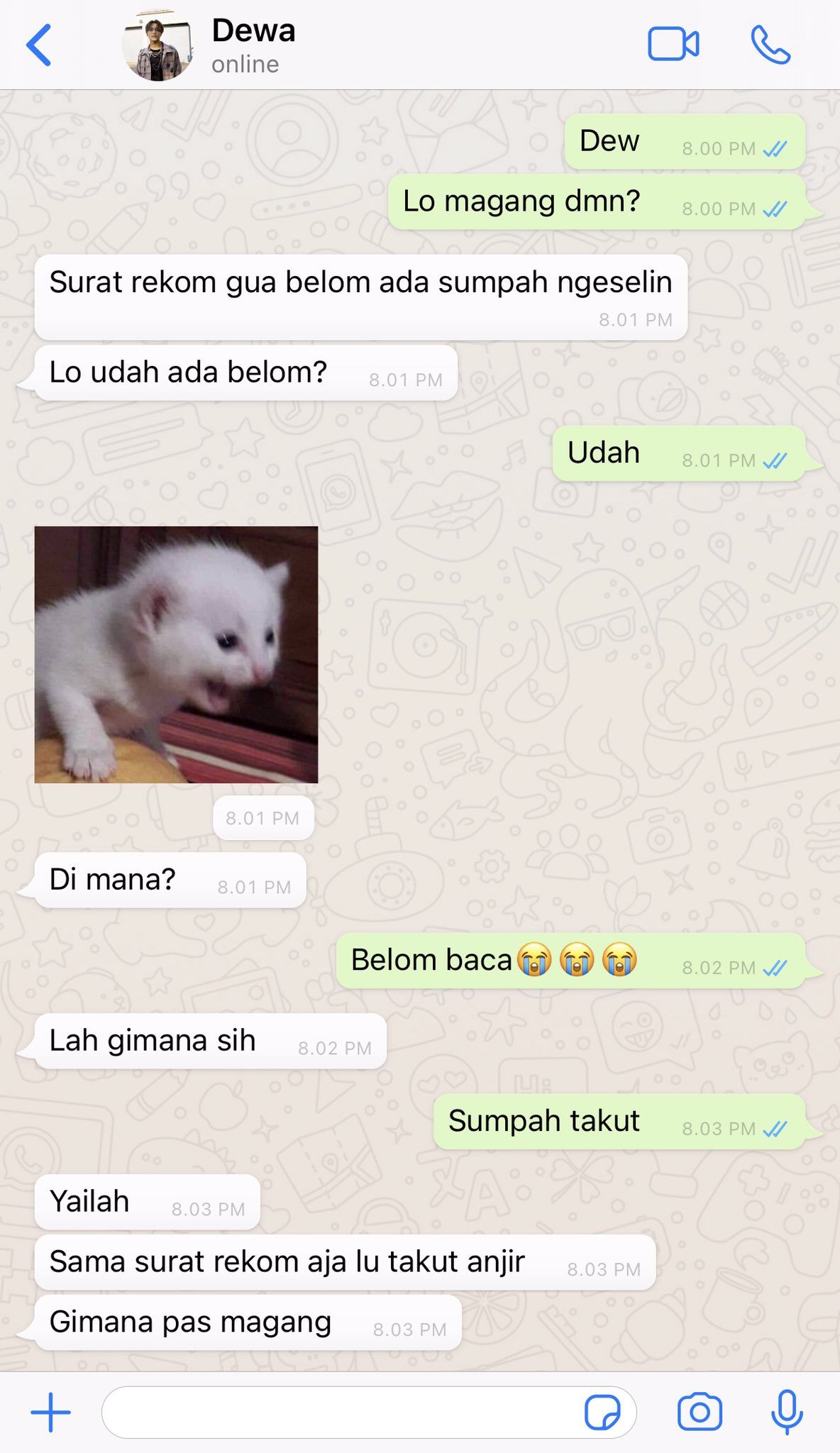 Miyo On Twitter — Abide Leovena Si Mahasiswa Full Beasiswa Yang