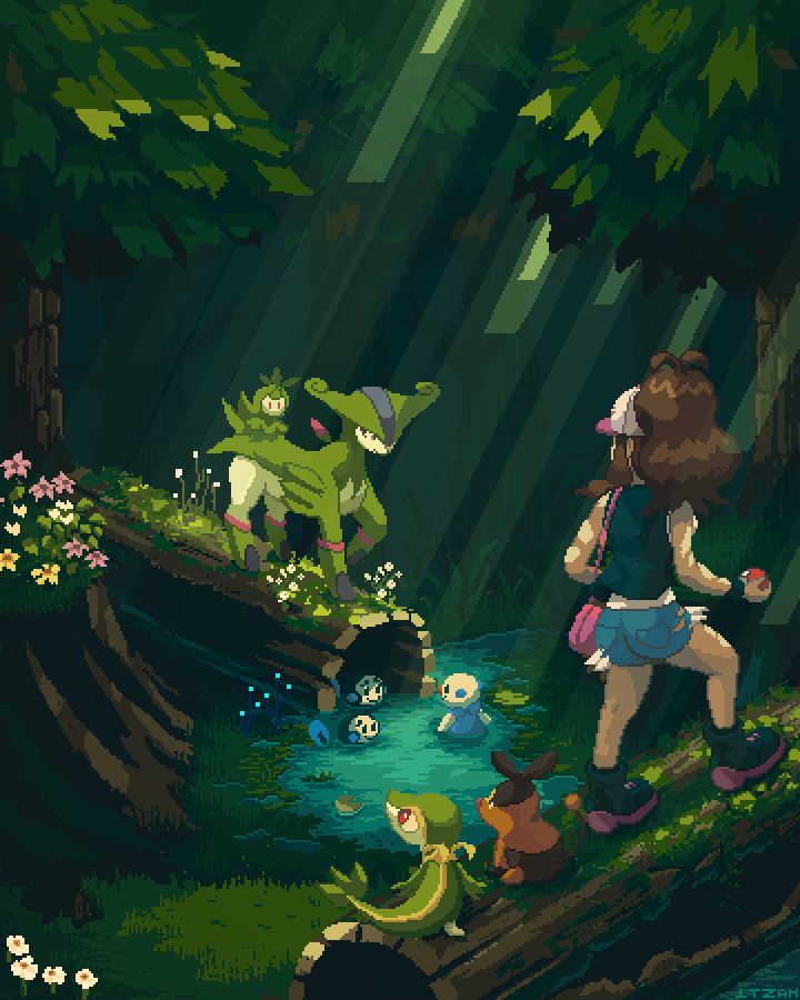 Pokemon Cartoon Forest Background