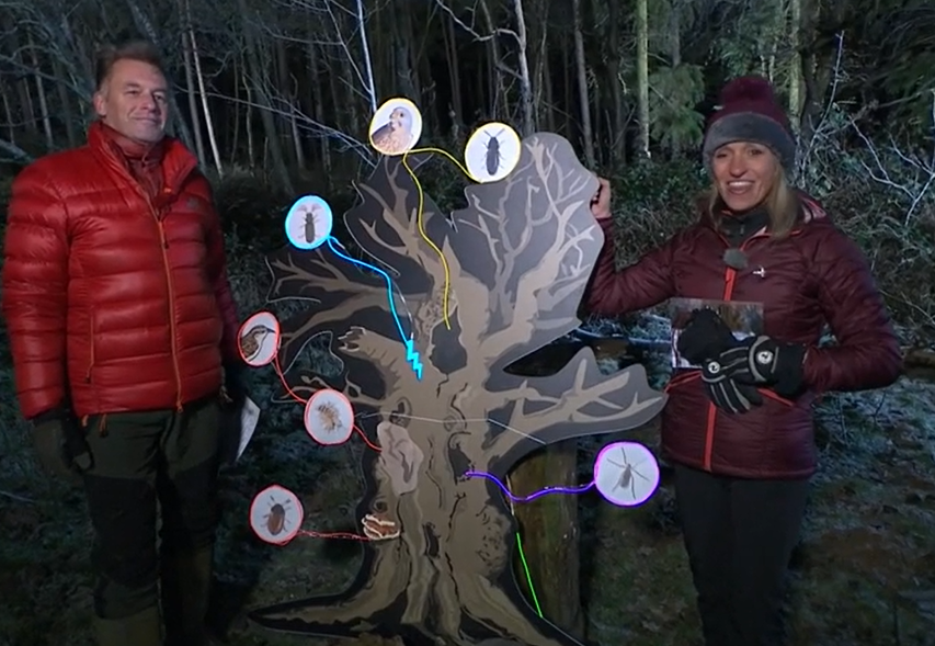 WWT on Twitter: "WWT Ambassador and all-round nature hero @Lucy_Lapwing has once again outdone ...