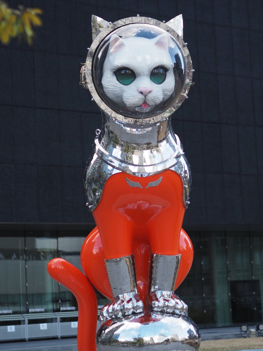 Nyao!(@nyao2020) - Twilog (ツイログ)