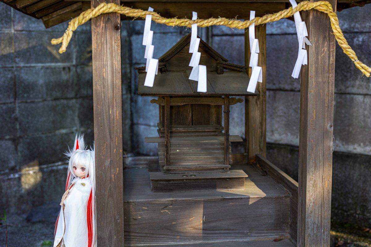 チコイ (@tikoi_doll) さんのモデル作品まとめ (513 件) - Twoucan