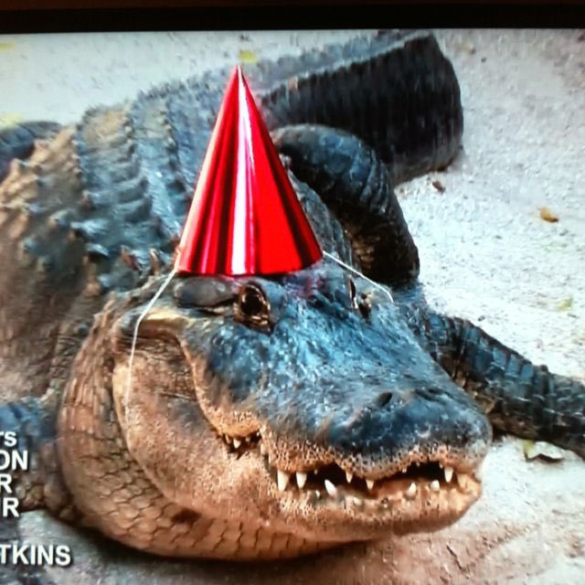 Happy Birthday Alligator