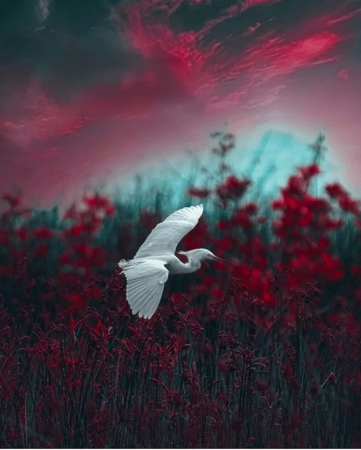 theplanetのTwitterイラスト検索結果。