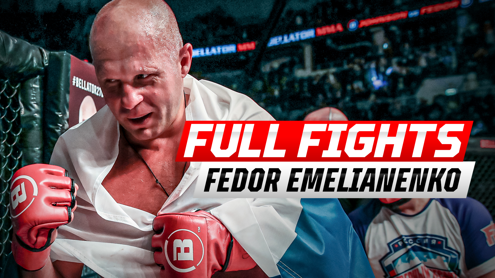 Fedor Emelianenko Quotes