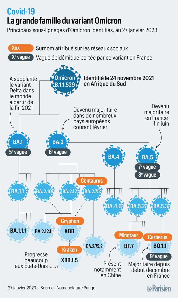 Nicolas Berrod on Twitter: "Kraken, Orthos, Minotaur... Plusieurs sous-variants #Omicron se ...