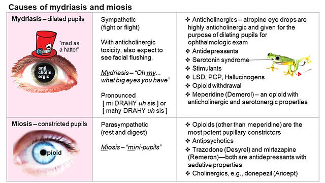 Miosis And Mydriasis