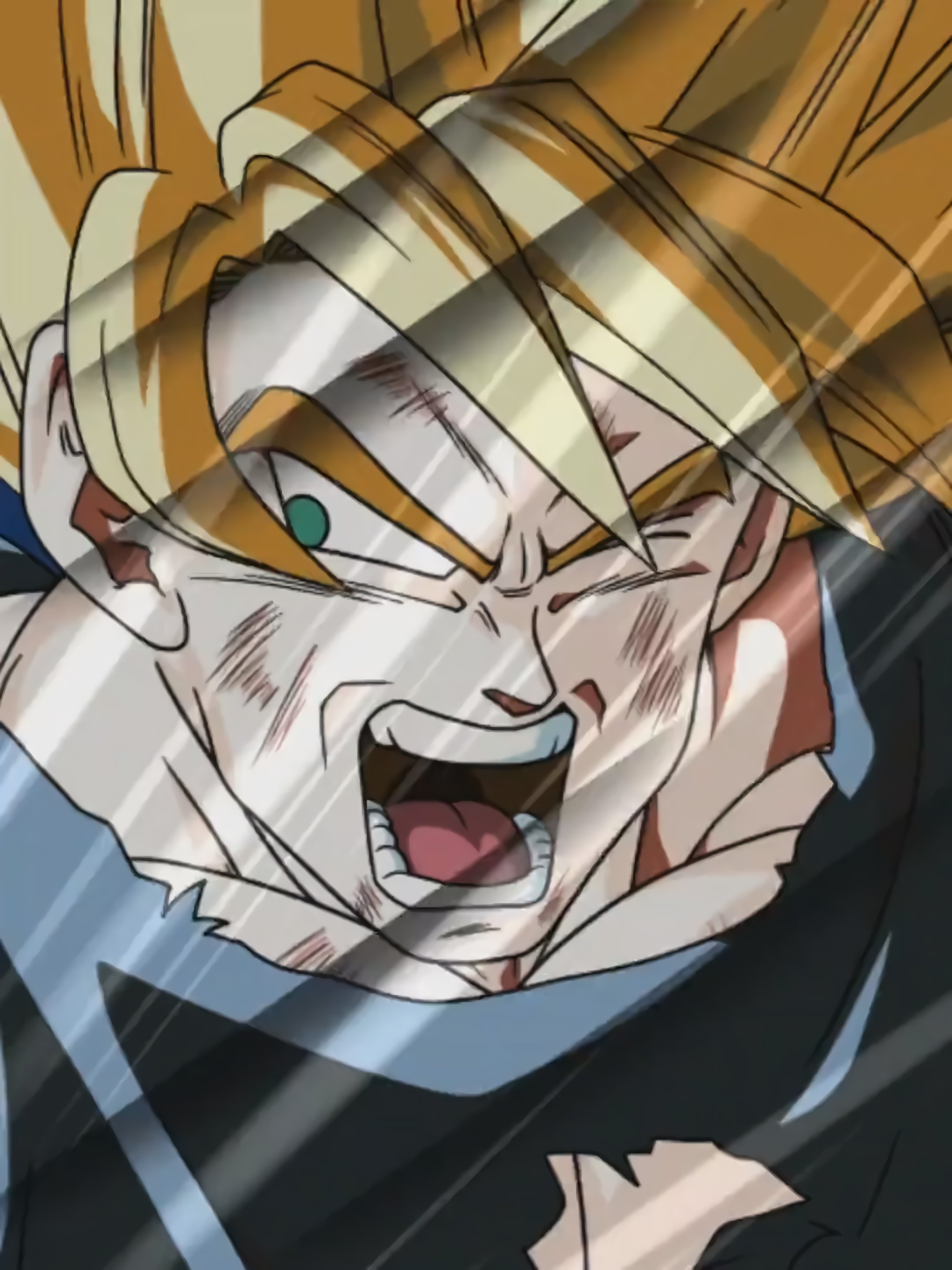 Dokkan Assets (DBZ Assets) #RIPGachaTalks on Twitter: "PHY LR SSJ 3 Goku & SSJ 2 Vegeta Stand By ...