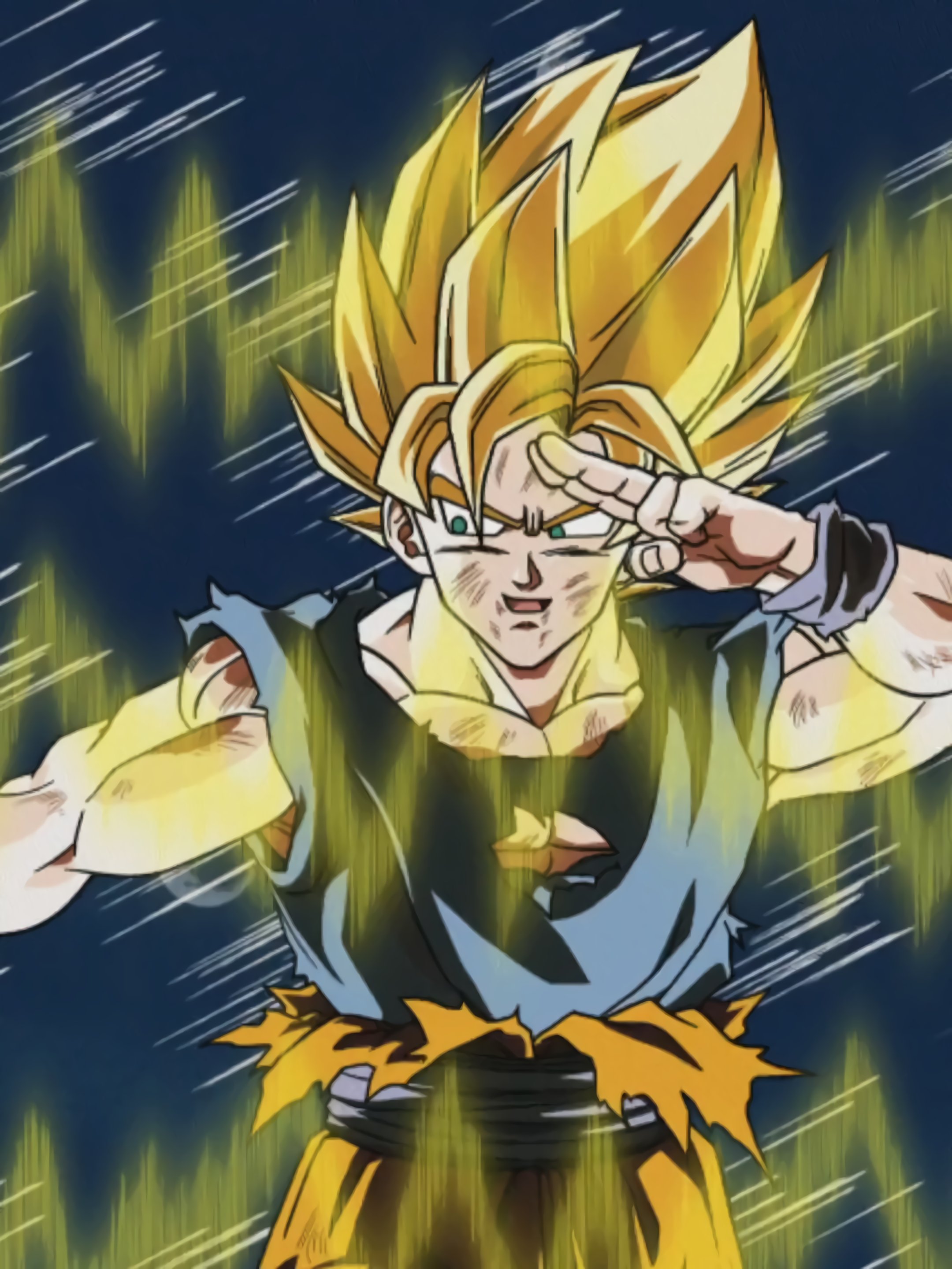 Dokkan Assets (DBZ Assets) #RIPGachaTalks on Twitter: "PHY LR SSJ 3 Goku & SSJ 2 Vegeta Stand By ...