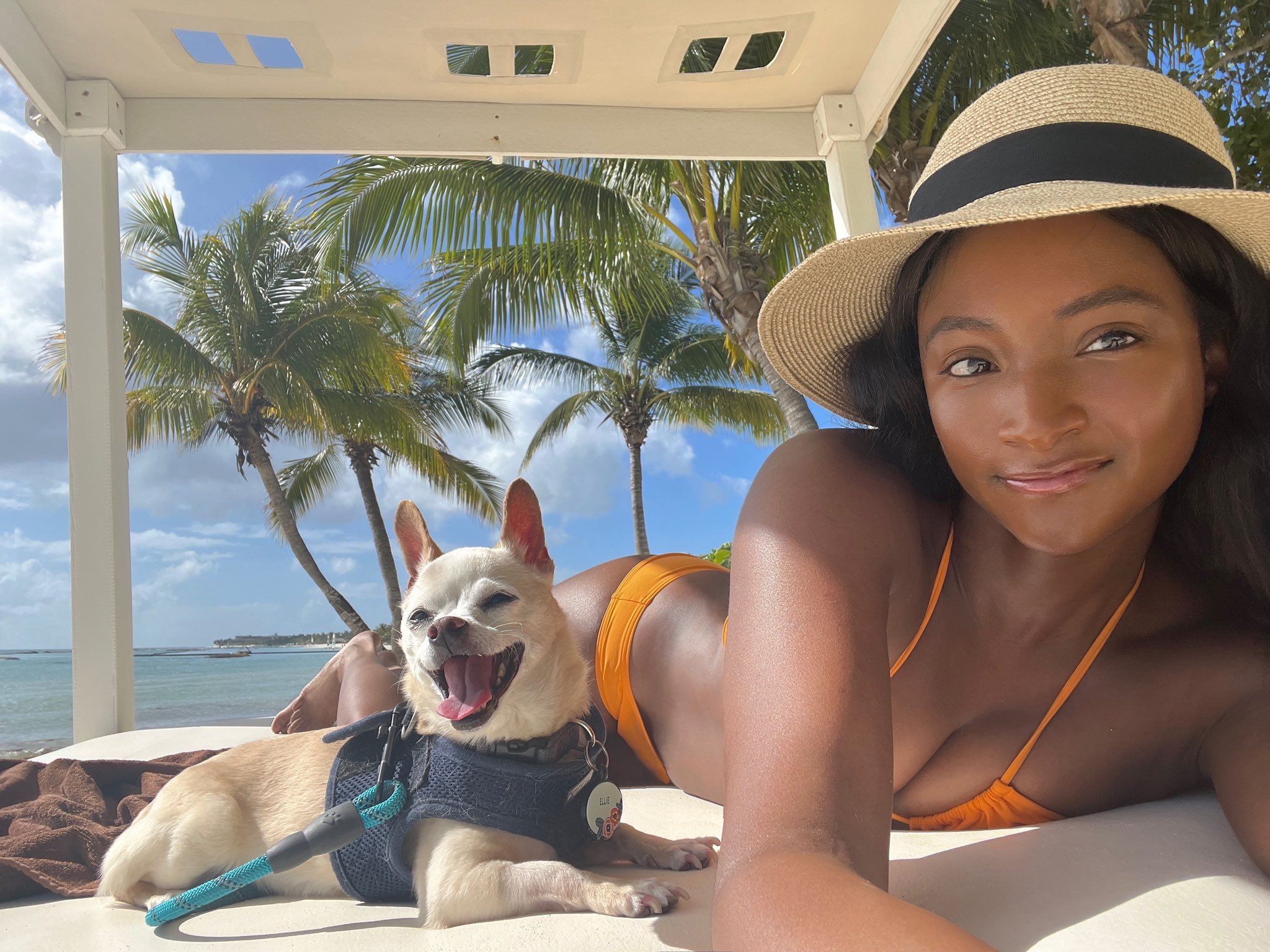 Lyndsey Scott (@Lyndsey360) / Twitter