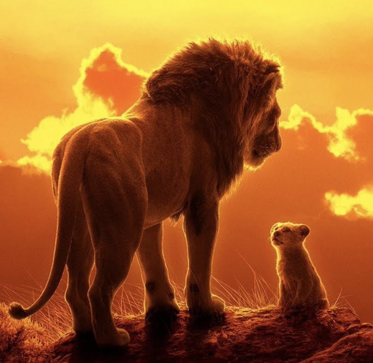 I grew up without a father Here are 11 timeless truths he should have ...