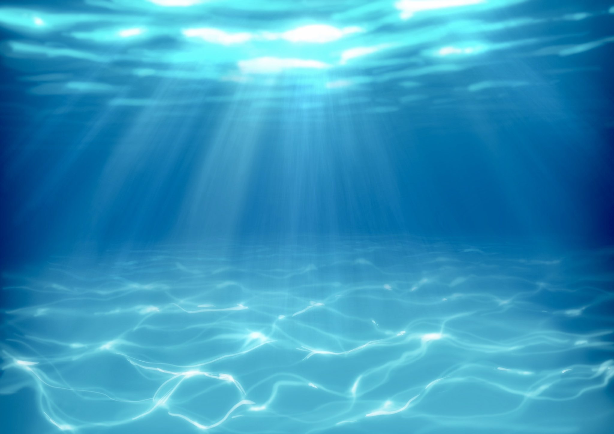 Underwater Painting Tutorial Underwater Sea Turtle