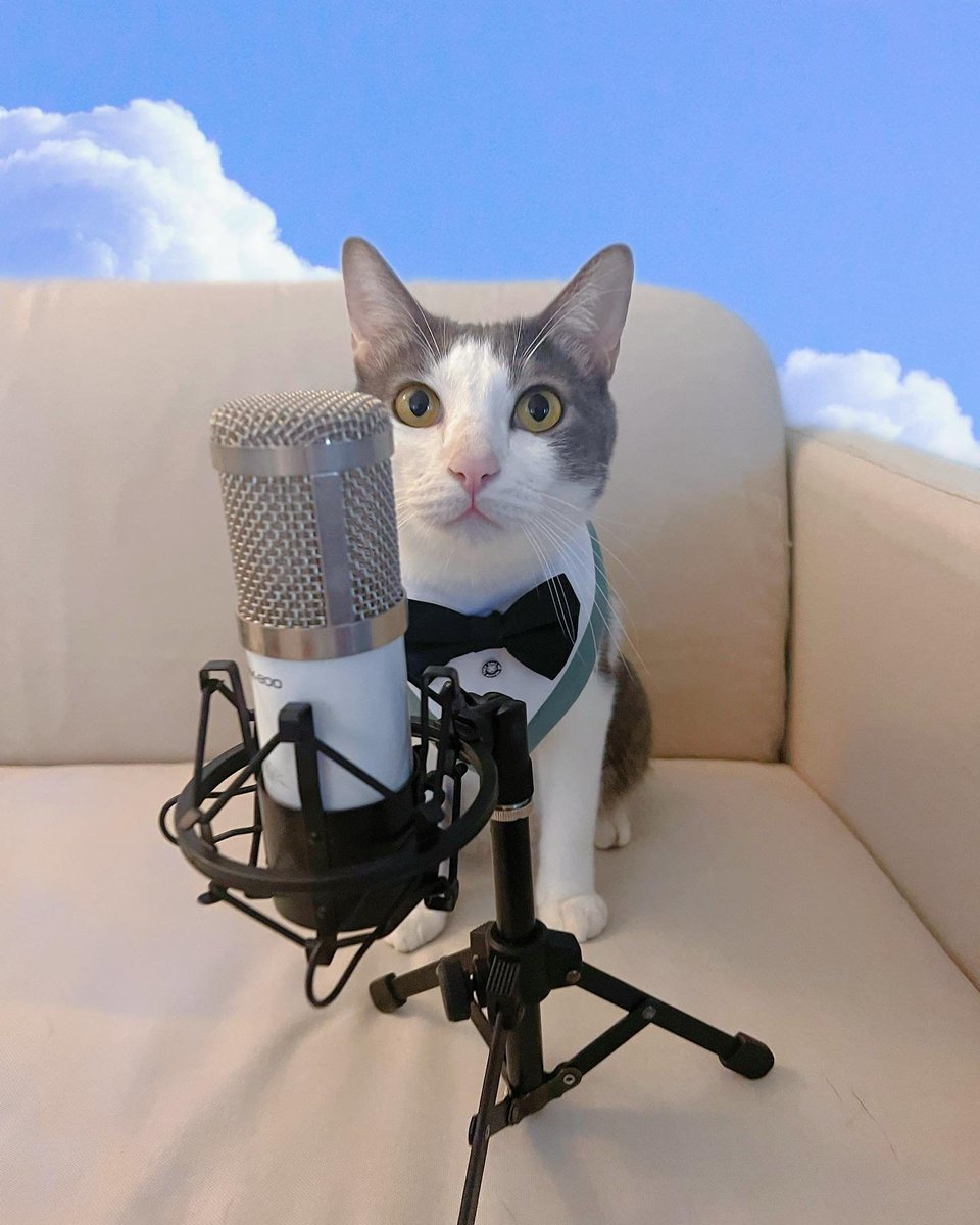 Hatok On Twitter RT CatWorkers Podcaster hatok-on-twitter-rt-catworkers-podcaster
