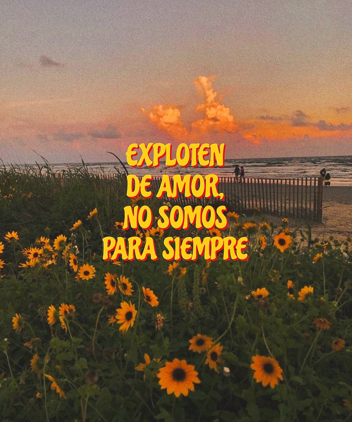 Flower Quotes Tumblr Spanish