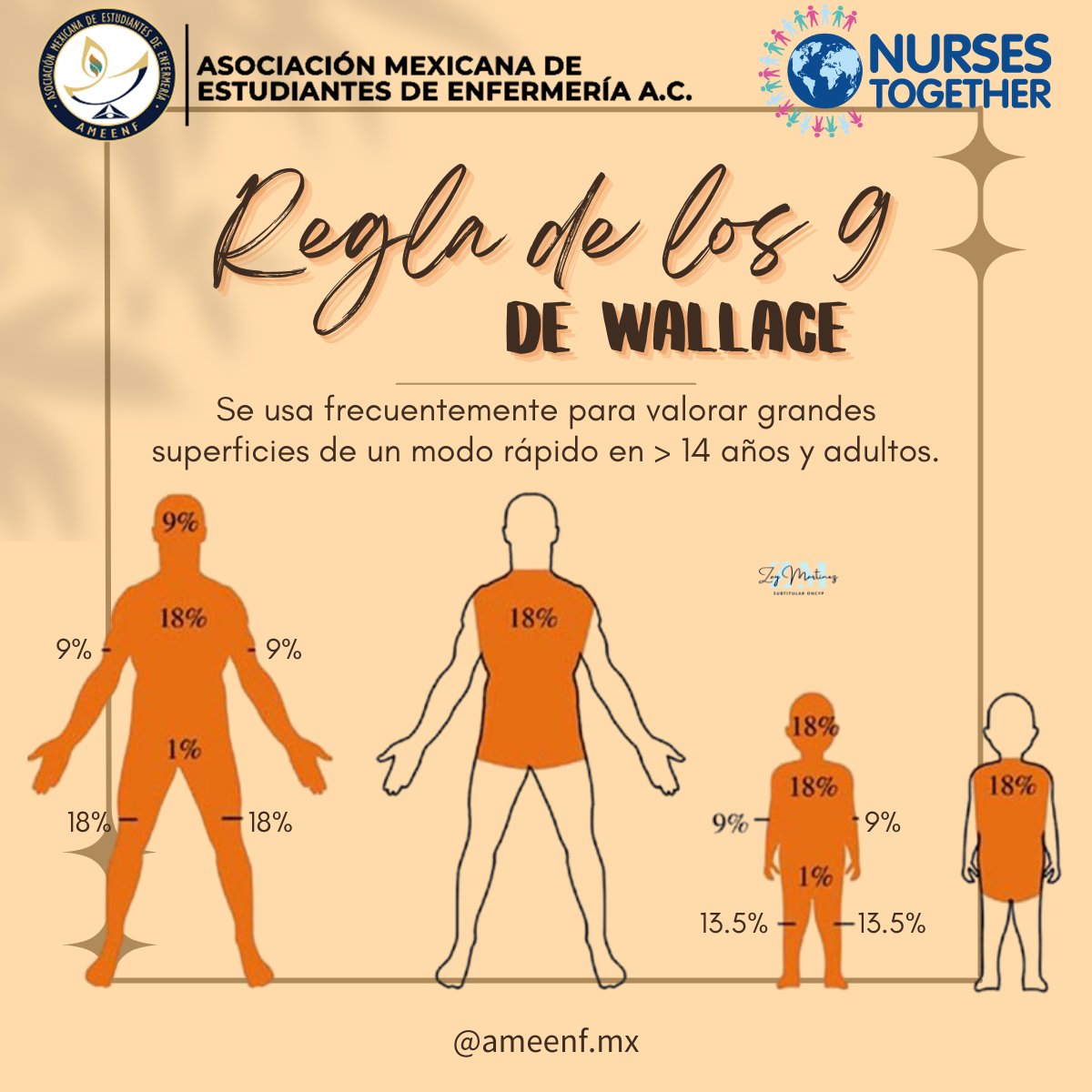 AMEENF A.C. on Twitter: "🚨 REGLA DE LOS 9 DE WALLACE 🚨 Regla “de los 9” de Wallace: se usa ...