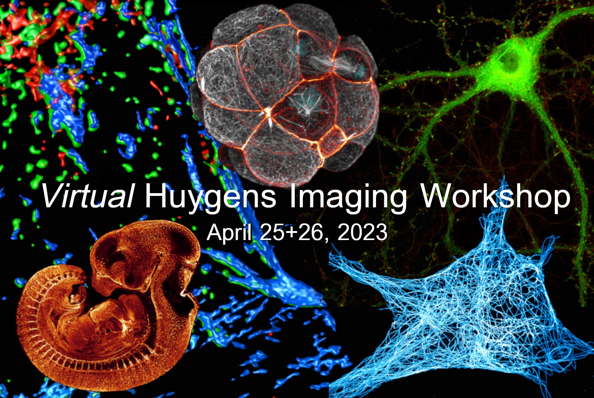 SVI Huygens on Twitter: "#microscopists! Join our free online #workshop on reliable image ...