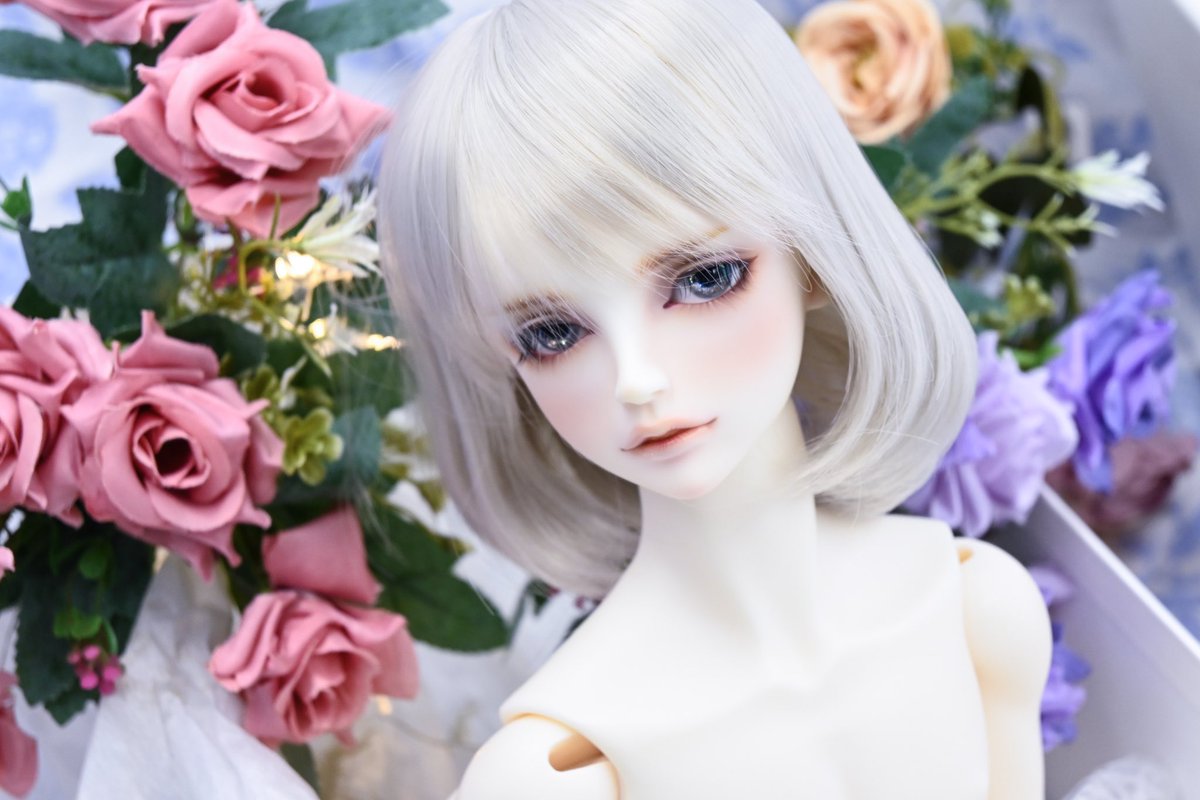 モンティ on Twitter: "初めてのフルチョ、はじめてのSDGr、初めてのホワイト肌の子が来たー！オーダーメイクで71日、ずっと憧れた75番君☺️オベロン(FGO)のキャラド にする🦋 ...