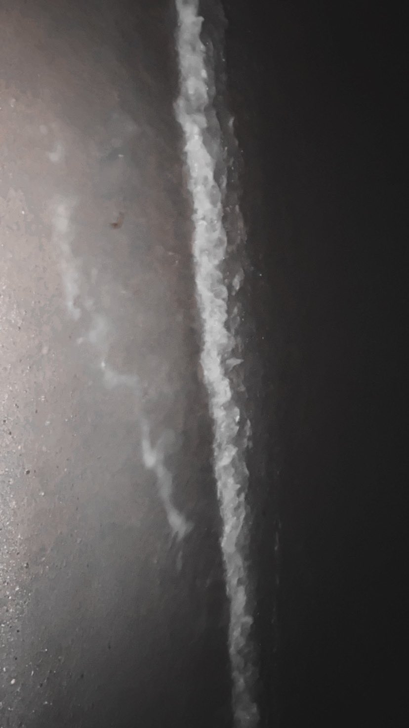 VENM (@VENM_PKMN) / Twitter