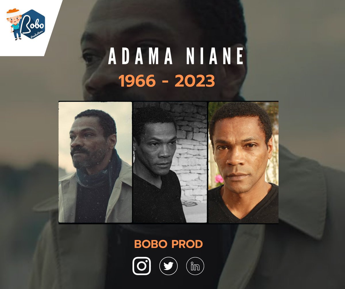 Adama Niane, "Lupin" Actor, Dies Aged 56