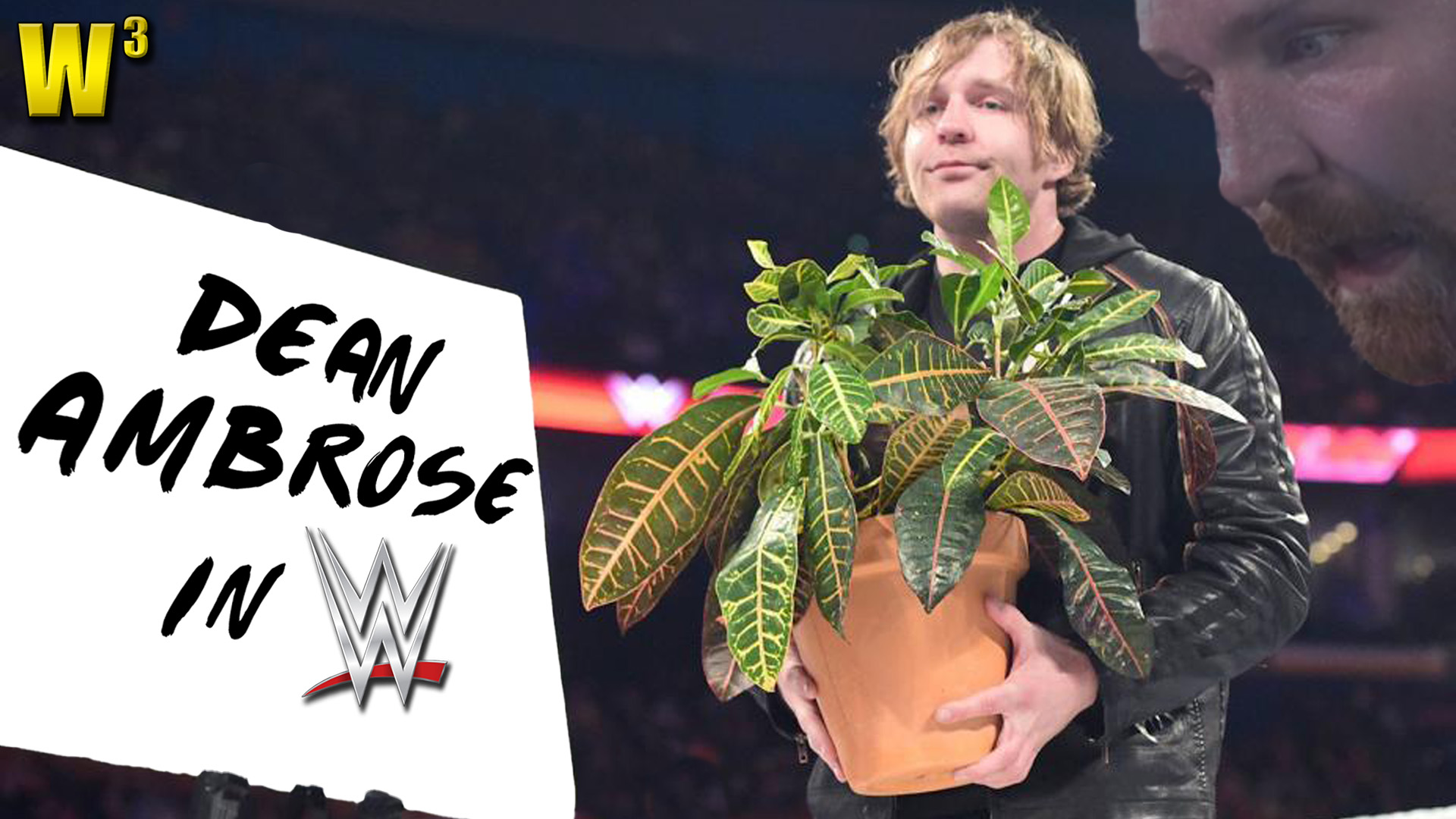 'The Influencer' Brian Zane on Twitter: 'The Influencer' Brian Zane on Twitter: