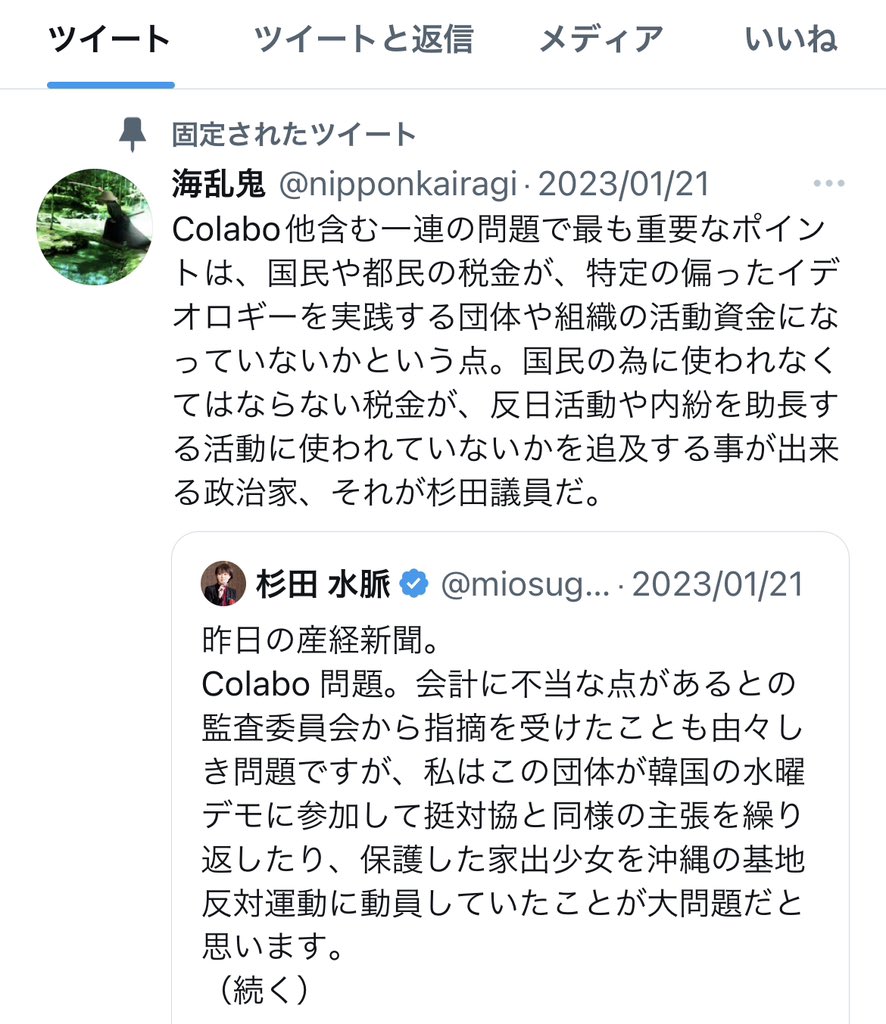 ひろこ on Twitter: "@himasoraakane 海乱鬼さんは、保守のリーダー的存在のインフルエンサーです。 困っている人、弱い人の味方で、正義感の強い方です。 暇空さんの応援も ...