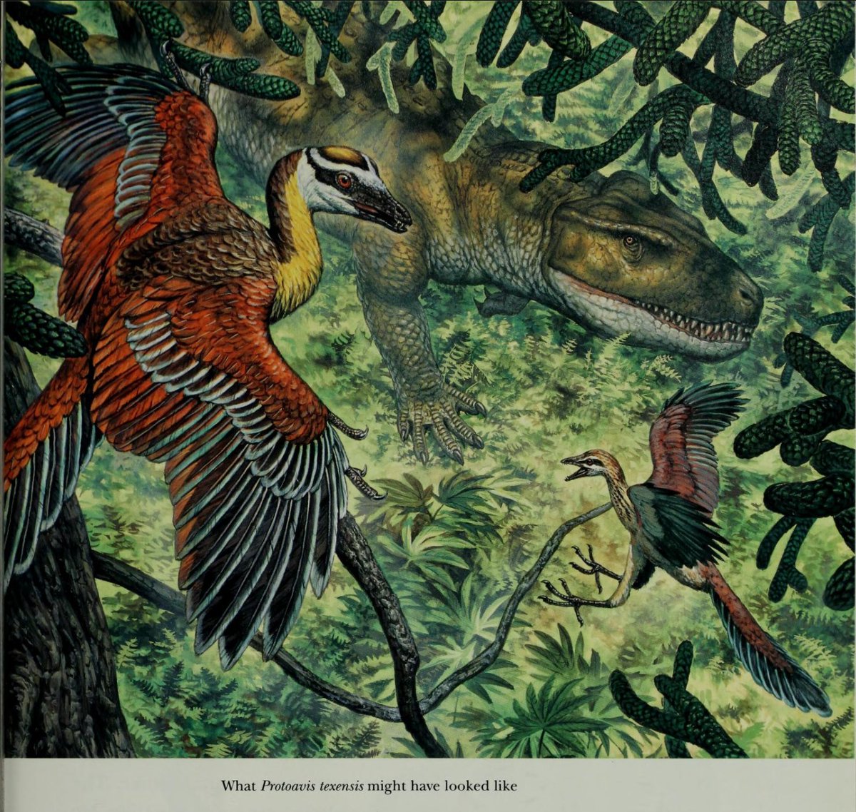 Fabio Alejandro (@FabioAleRomero) さんのイラスト・マンガ作品まとめ (129 件) - Twoucan