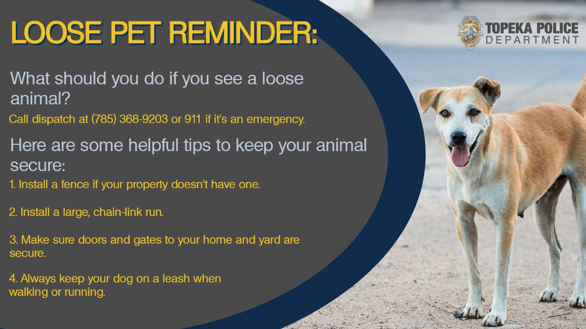 Can You Call 911 For Your Dog