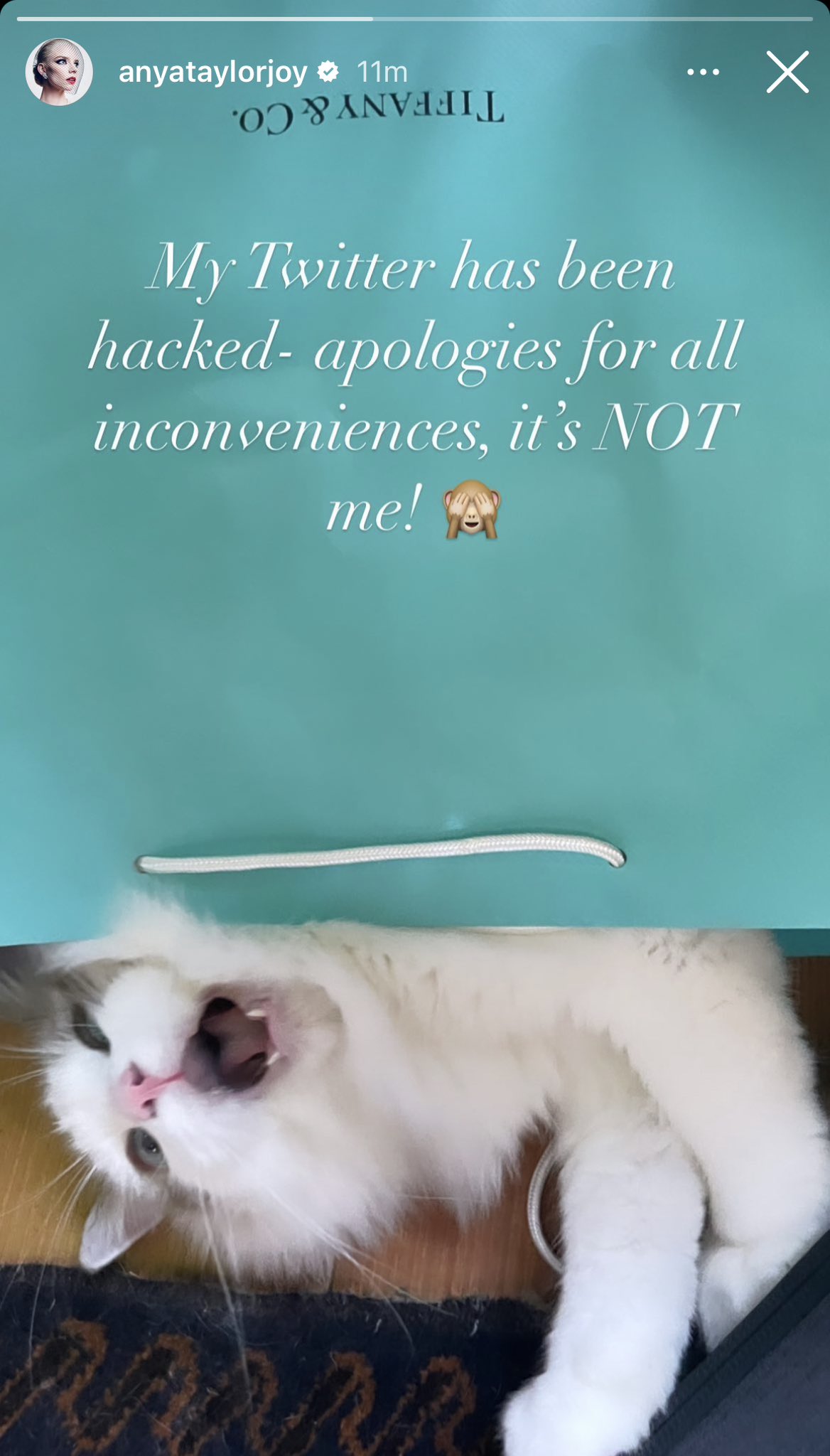 DiscussingFilm on Twitter: "Anya Taylor-Joy says it was a hacker that posted “The Queen’s Gambit ...