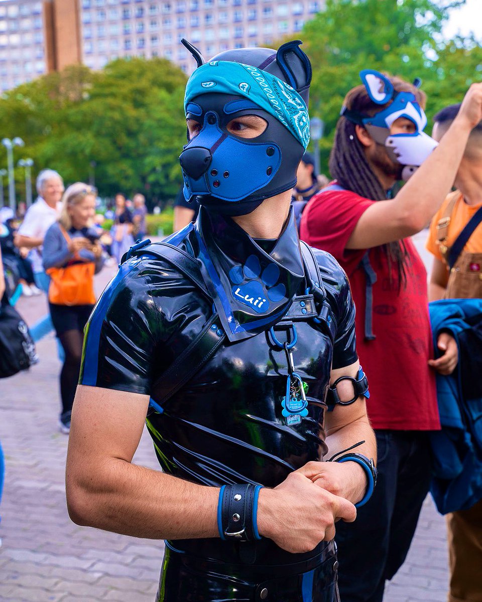 Pup Rally, MIR Photographer on Twitter: "RT @PuppyLuii: #puppy #puppylove #puppyplaylifestyle # ...