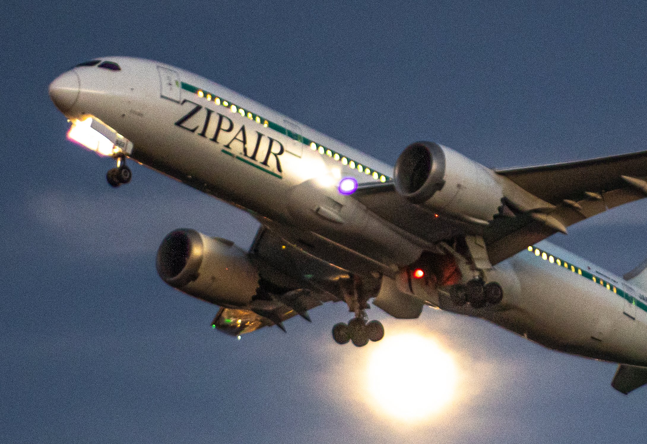 ZIPAIRTokyo (@ZIPAIRTokyo) / Twitter