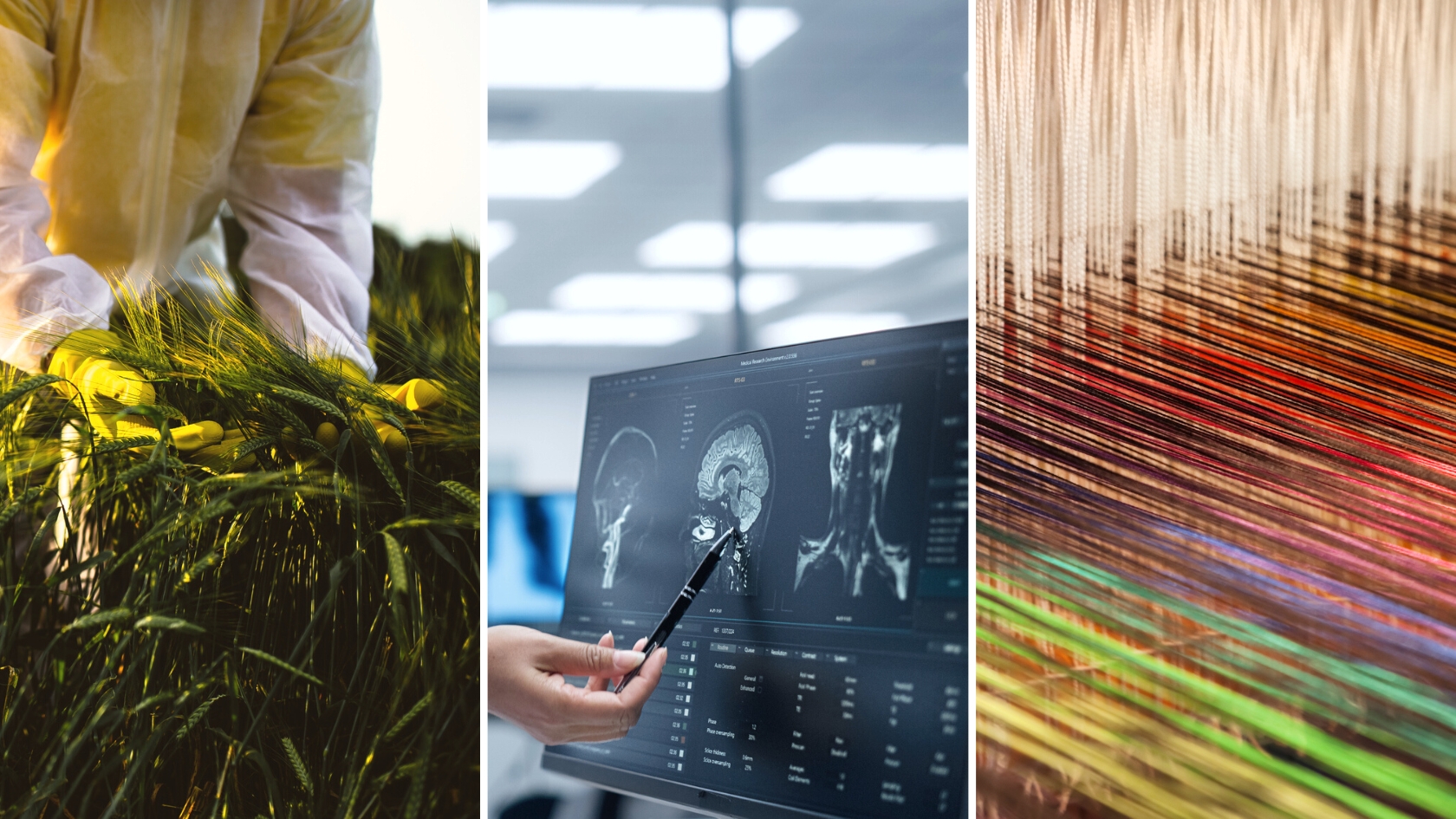 European Research Council Erc On Twitter рџ ў The Results Of The 2022