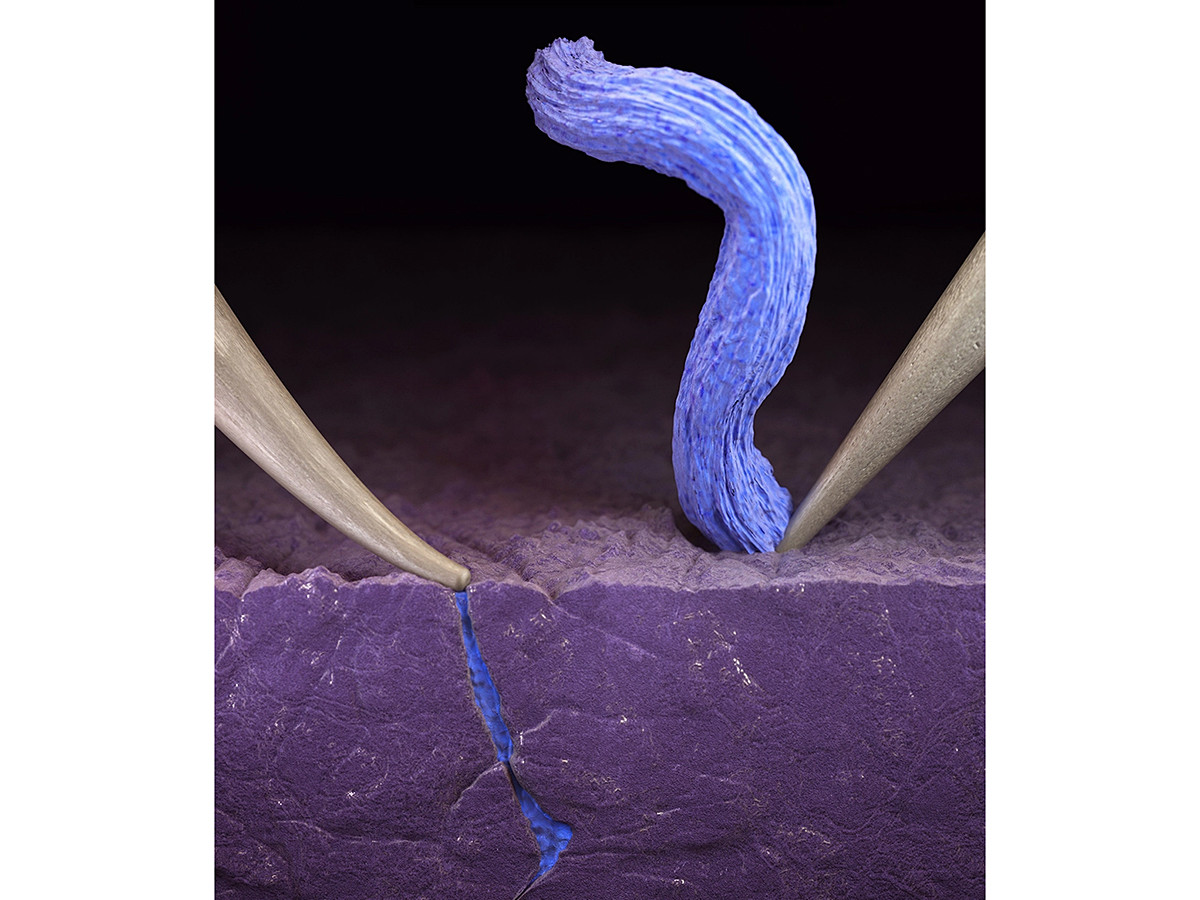 PC Watch on Twitter: "スタンフォード大、リチウム金属電池が故障する要因を解明 https://pc.watch.impress.co.jp/docs/news ...