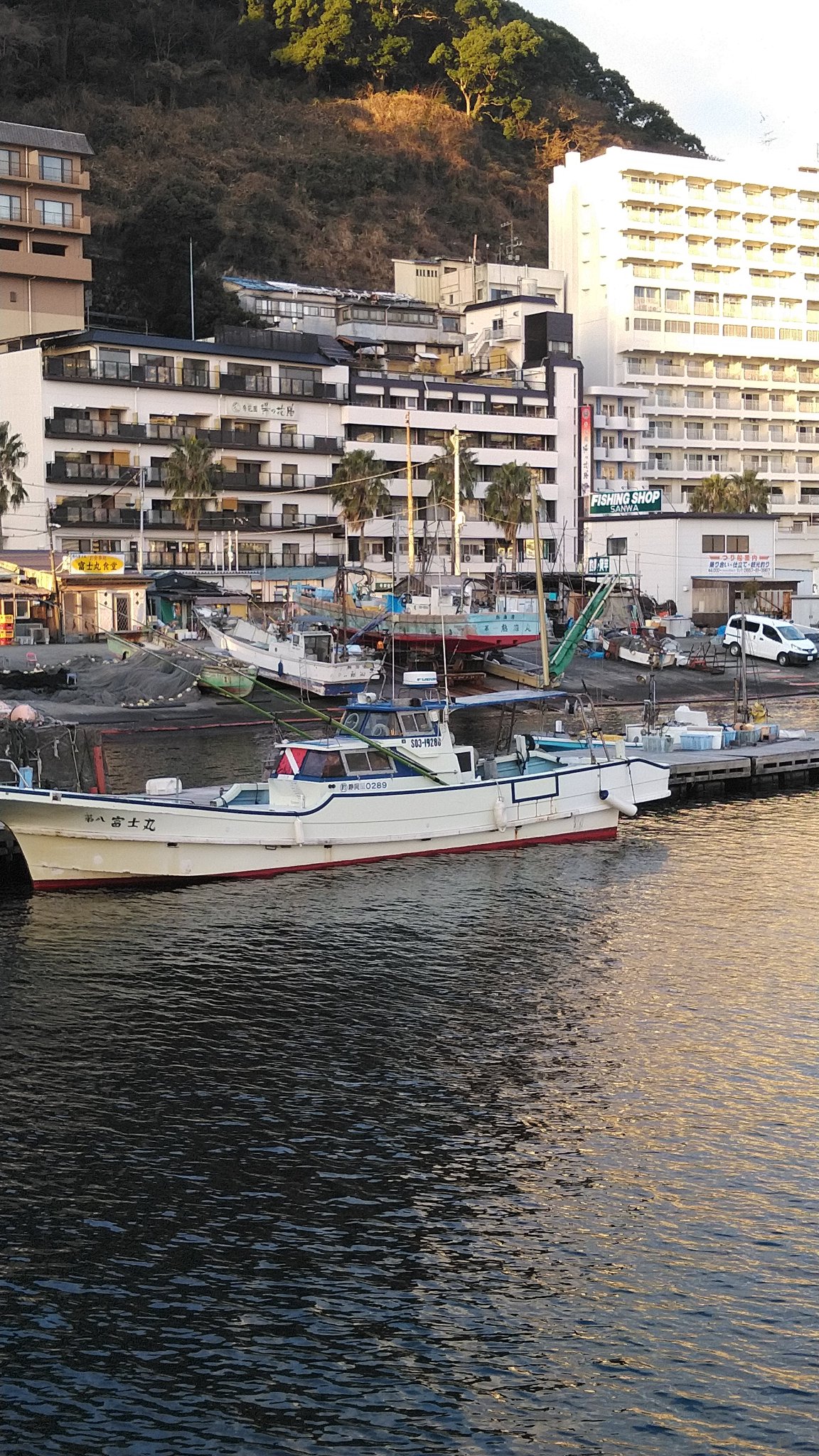 あつうみ on Twitter: "@dai8fujimaru こんにちは。 本日もお世話になり、ありがとうございました。 写真は早朝、熱海港埋立地のアタミザクラの開花状況が気になり、手前で ...