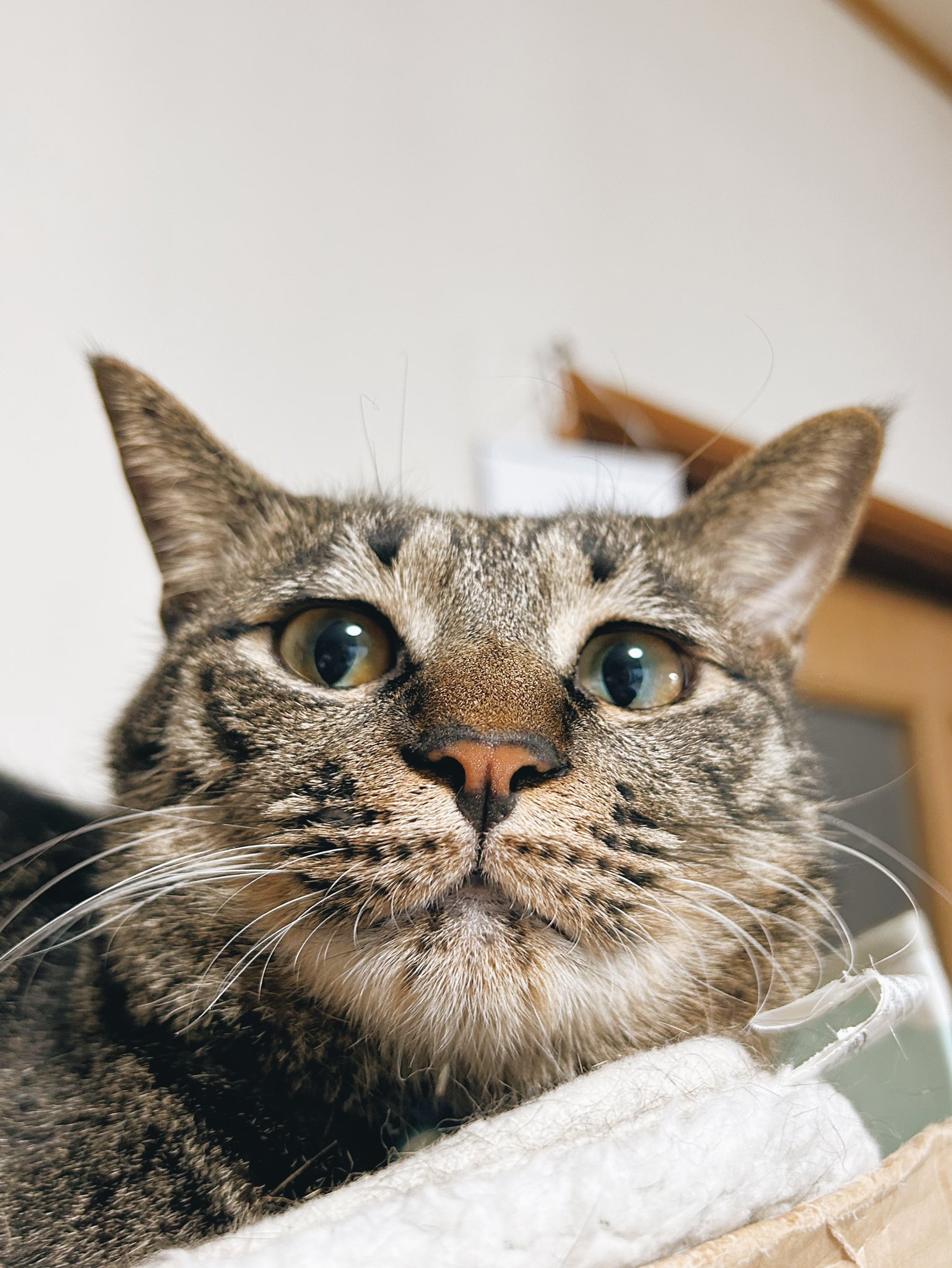 𝙇𝙊𝙉 (@nol_rtjk) / Twitter