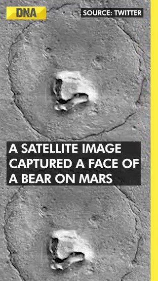 Is that a face of a bear on Mars? Satellite image of Mars surface stuns ...