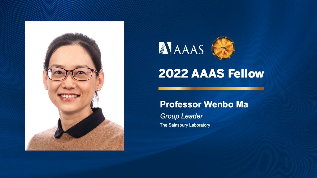 The Sainsbury Laboratory on Twitter: "Great news for the TSL Community: Prof Wenbo Ma ...